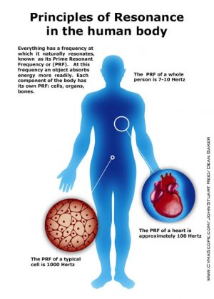 Cymatics: How Sound Vibrations Create Physical Structures - Vesica ...