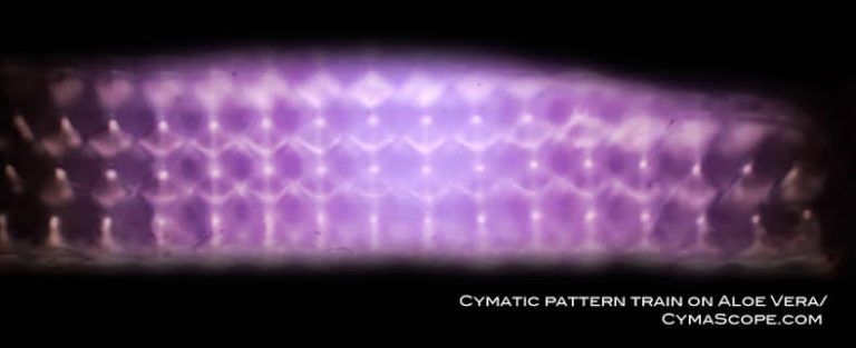 Cymatics: How Sound Vibrations Create Physical Structures - Vesica ...