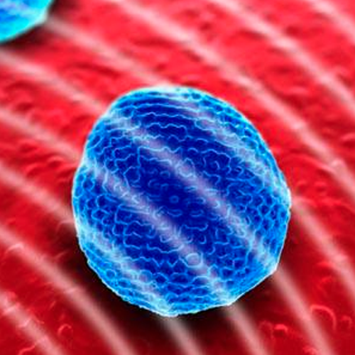 Cymatherapy: Healing with Sound Waves - Vesica Institute for Holistic ...