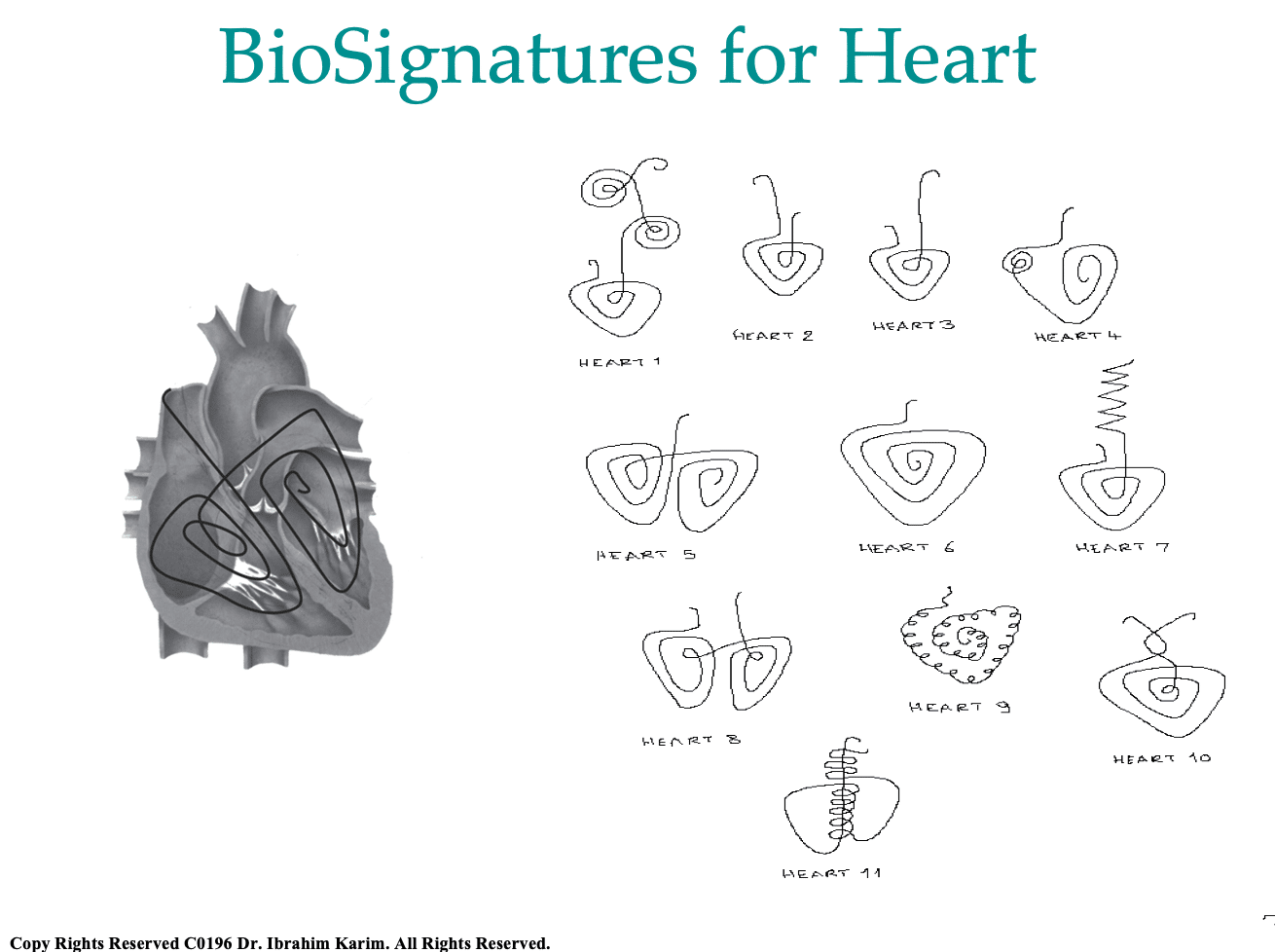 BioGeometry®, the Science of Balancing Living Systems: A Special ...