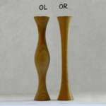 Biogeometry® - Vesica Institute for Holistic Studies