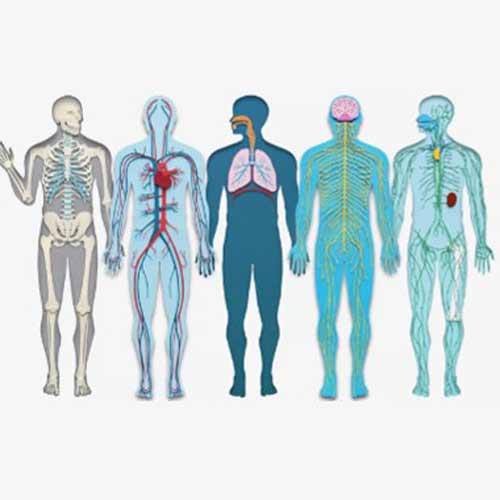 Announcing: a New Breakthrough Cymatherapy Sound Healing Device, For ...